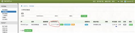 本地java项目，怎么通过内网穿透让别人可以通过外网访问java项目在本地jar运行 其他人怎么访问 Csdn博客