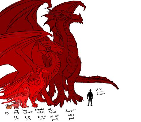 Dragon Size Scale Chart House Of Dragon Size Chart