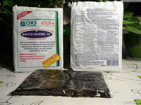 Фитоспорин для комнатных растений: инструкция по применению, описание