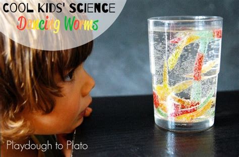 Top 50 Fun Food Science Experiments Education Corner