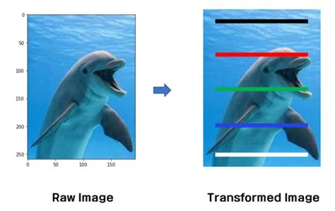 GitHub VangsillEE ComputerVision Seminar DNA Computer Vision Study