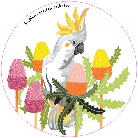 Unpackaged Nature Magnet Sulphur Crested Cockatoo Illumination Mandalas