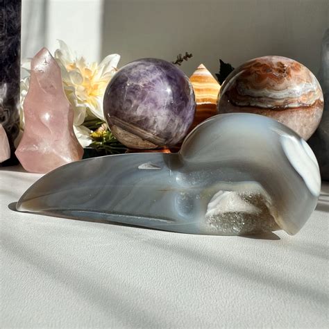 Шувуу хэлбэрт гартаам