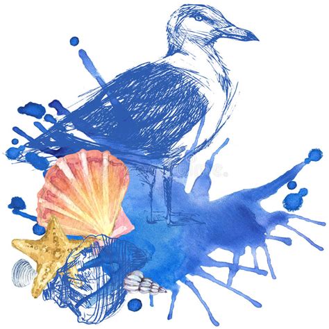 Seashells Seashell собрания предпосылки близкие вверх Иллюстрация штока