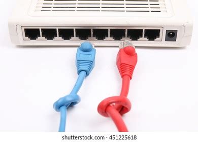 Network Switch Utp Ethernet Cables Stock Photo 171766037 Shutterstock