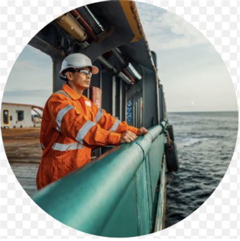 Unlocking Efficiency And Compliance A Deep Dive Into Prodeos Qhse