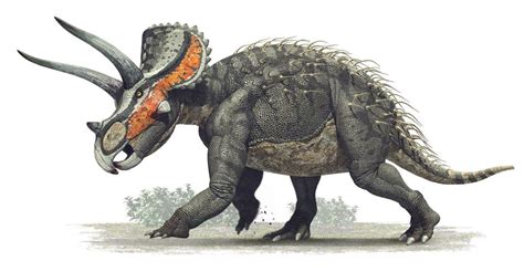 Triceratops Earth 7045 Comic Crossroads Fandom