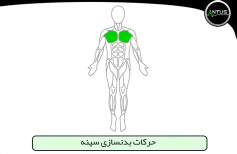حرکات بدنسازی را همراه با اسم و تصویر صحیح آنها یاد بگیرید Pdf آنتوس