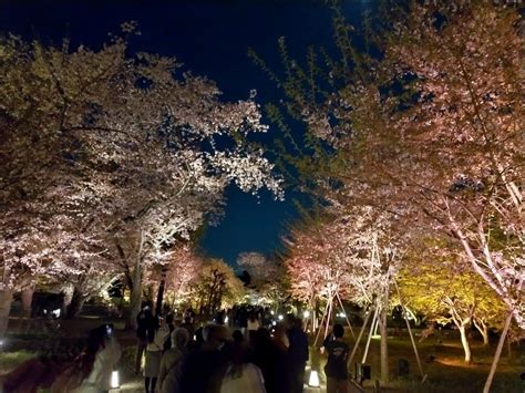YOA さんの投稿したバイクライフ NAKED FLOWERS バイクのカスタム ツーリング情報ならモトクル Motocle