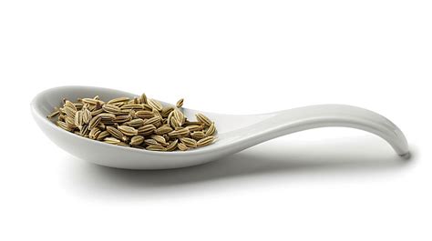 Fennel Seeds Background Images Hd Pictures And Wallpaper For Free