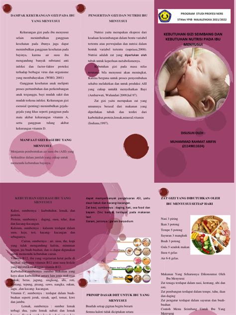 Leaflet Pnc Kebutuhan Gizi Seimbang Pada Ibu Menyusui Pdf