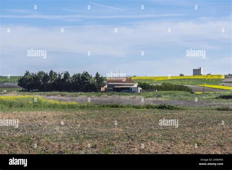 Farmers Can Adjust The Speed Of The Linear System Based On Factors Such