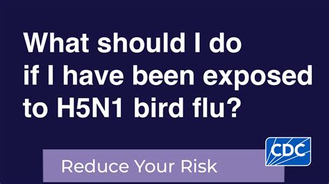 What Should I Do If I Have Been Exposed To H5n1 Bird Flu Bird Flu Cdc