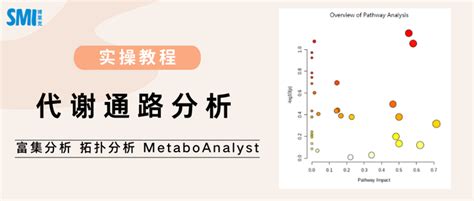 精工致善丨代谢通路分析 知乎