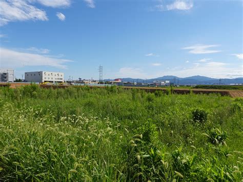 九頭竜中学校建設の様子④敷地造成 20238│てるふあい
