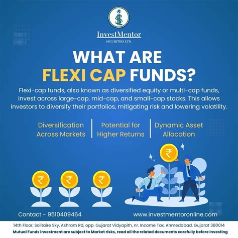 Why Invest In Flexi Cap Funds For Diversification Investmentor