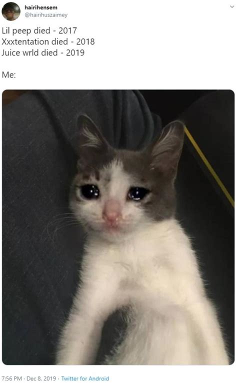 Hairihuszaimeys Tweet Juice Wrld Know Your Meme