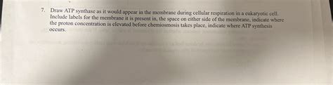 Solved Draw Atp Synthase As It Would Appear In The Membrane