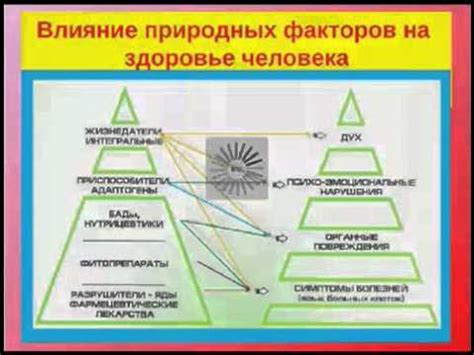 В чем тайна Тибетского долголетия? Эндорфинотерапия. - YouTube