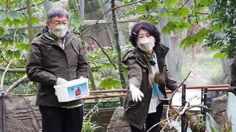 柯文哲兒確診送急診挨轟 市府發言人：發燒到失去意識 政治快訊 要聞 Nownews今日新聞