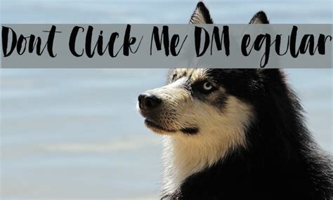 Dont Click Me Demo Regular Font