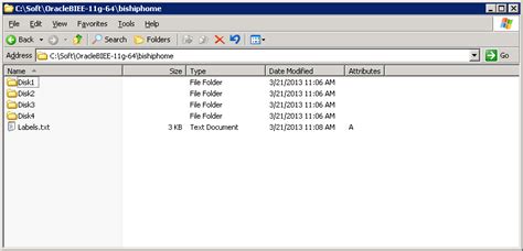 Install Oracle Bi 11g