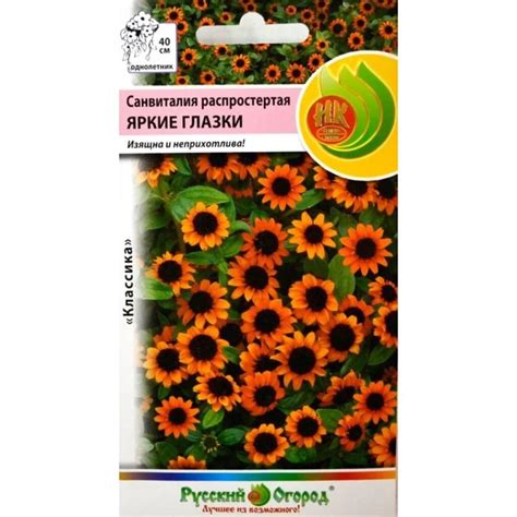 Семена Цветы, Санвиталия, Яркие Глазки, 0.02 г, цветная упаковка ...