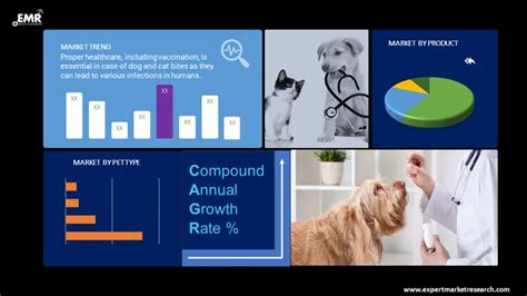 Companion Animal Healthcare Market Share And Trends 2034