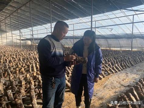 新春走基层小香菇撑起幸福伞 医药医改频道 东方养生