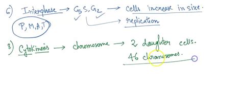 SOLVED TABLE Number Of Cells In Various Cell Gycle Phases Individual Data Relative