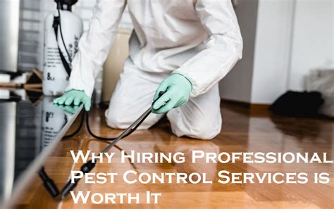 Why Hiring Professional Pest Control Services Is Worth It