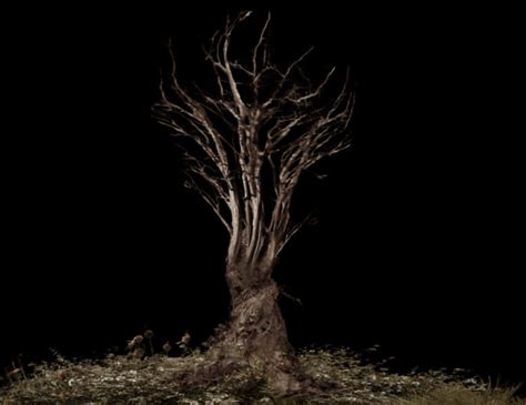 300 Tree With Roots Png Images Wallpapers Com