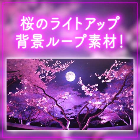 【背景ループ素材】ライトアップされた夜桜 夜 桜の木 月夜 舞う桜 動く背景 春 神秘的 幻想的 和風 3月 木 自然 ゲームなどの背景に