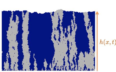 Directed Percolation