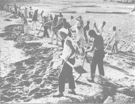 军民合作修滩造田 中国抗日战争