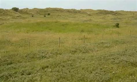 Frazer Biology 43 Quadrat Sampling