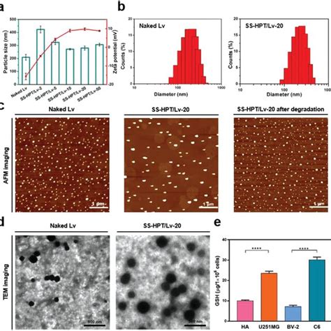 A Representative Fluorescence Images And B Quantitative FACS Analysis