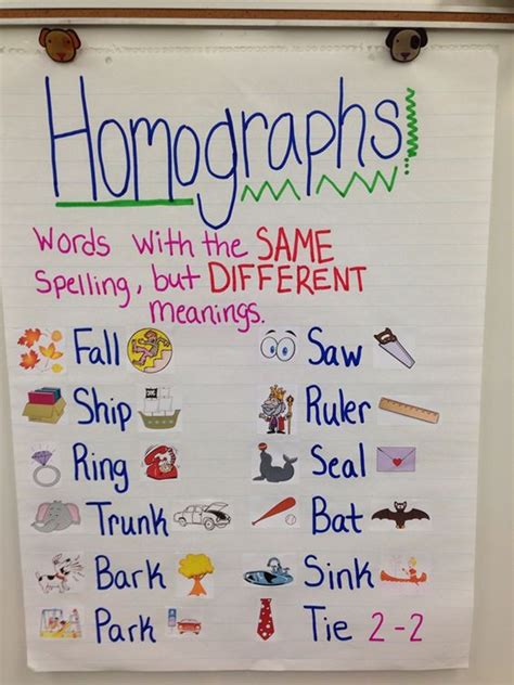List Of Homographs For 5th Grade
