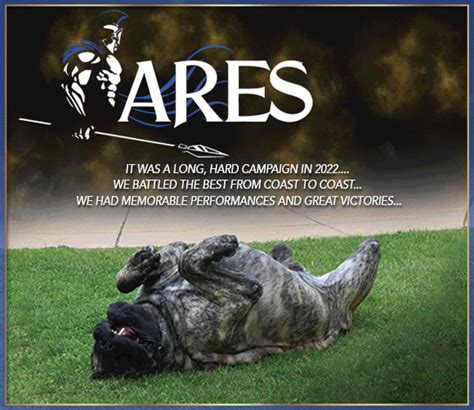 The American Kennel Club Brings The Akc Flyball Challenge To Espn2