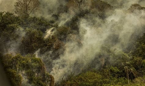 Brasil registra mil focos de incêndio em recorde desde