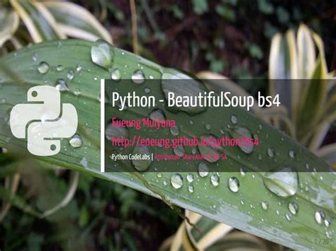 Python Beautiful Soup Bs4 Ppt
