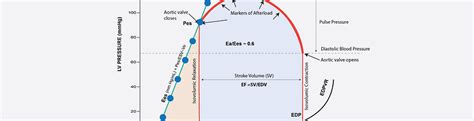 Discussion Hemodynamics Management Icu Reach