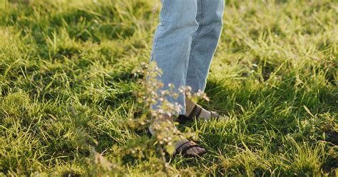 여름 초원의 따뜻한 일몰 빛 속에서 귀여운 하얀 강아지와 놀고 있는 세련된 행복한 여자 캐주얼한 젊은 여성이 웃고 미친 활동적인 스위스 양치기 강아지를 안고 있다 재미
