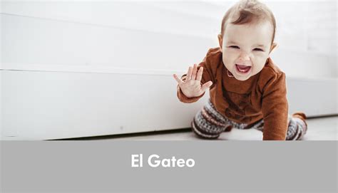 Güven Especialistas En Maternidad Y Primera Infancia