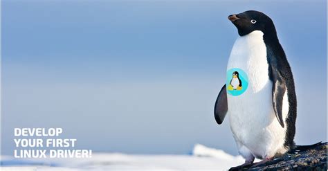 Apriorit On Linkedin Linux Device Drivers Linux Driver Development Tutorial Apriorit