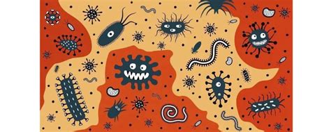 细菌，真菌，病毒——感染，免疫反应以及治疗用药差异 谷禾健康