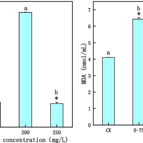 Effects Of Different Concentrations Or Sizes Of Suspended Particulate