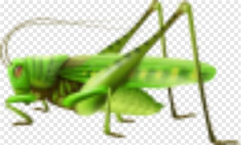 Grasshopper Free Icon Library