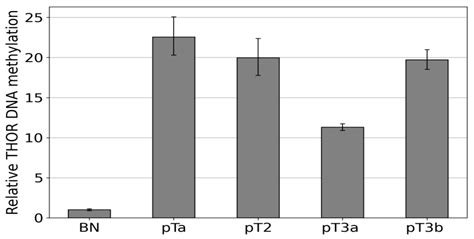 Cancers Free Full Text Differential Dna Methylation Of Thor And