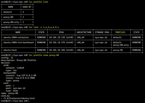 Add Profile On Lxd Linux Container Sys Opsid Herdiana3389
